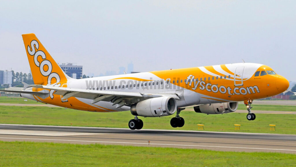 Scoot becomes the First Airline to Win ‘Value Airline of the Year ...